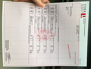 Canada Archives - Page 7 of 8 - FastDiplomasOnline.com